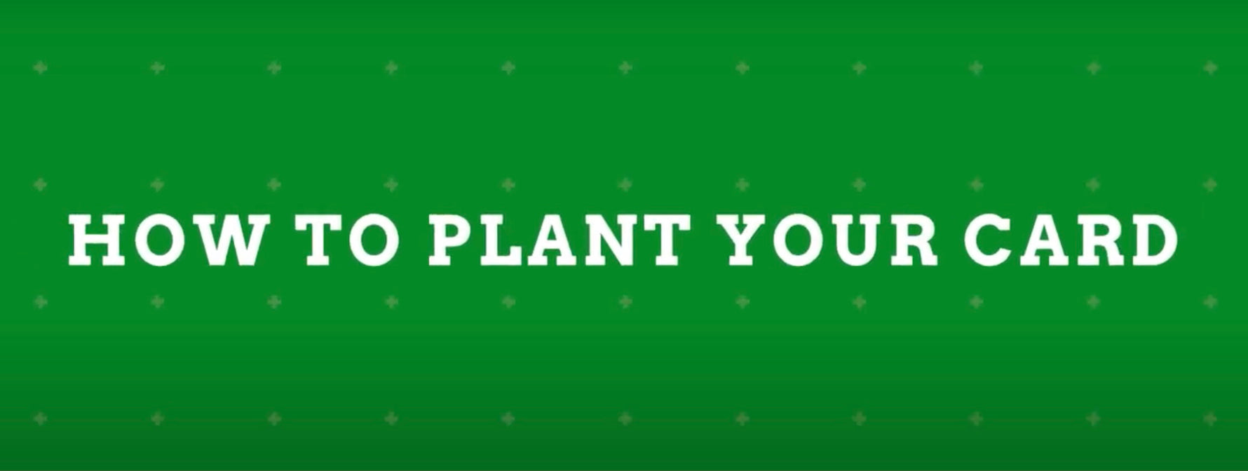 ♻️Plantable Greeting Cards - 🌲 Each Card Sold Plants 2 Trees ...