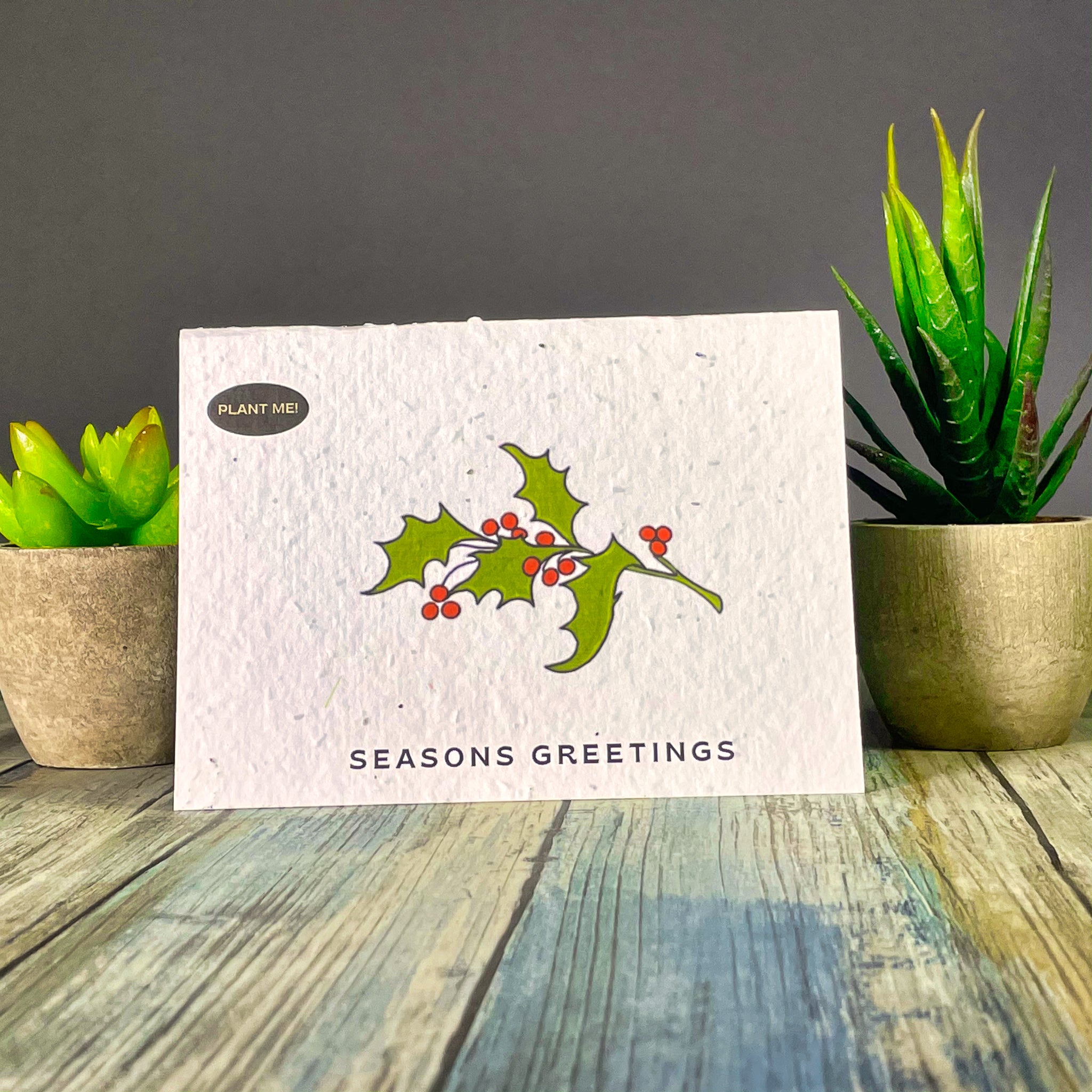 Holly Plantable Xmas Card – Plantable Greetings