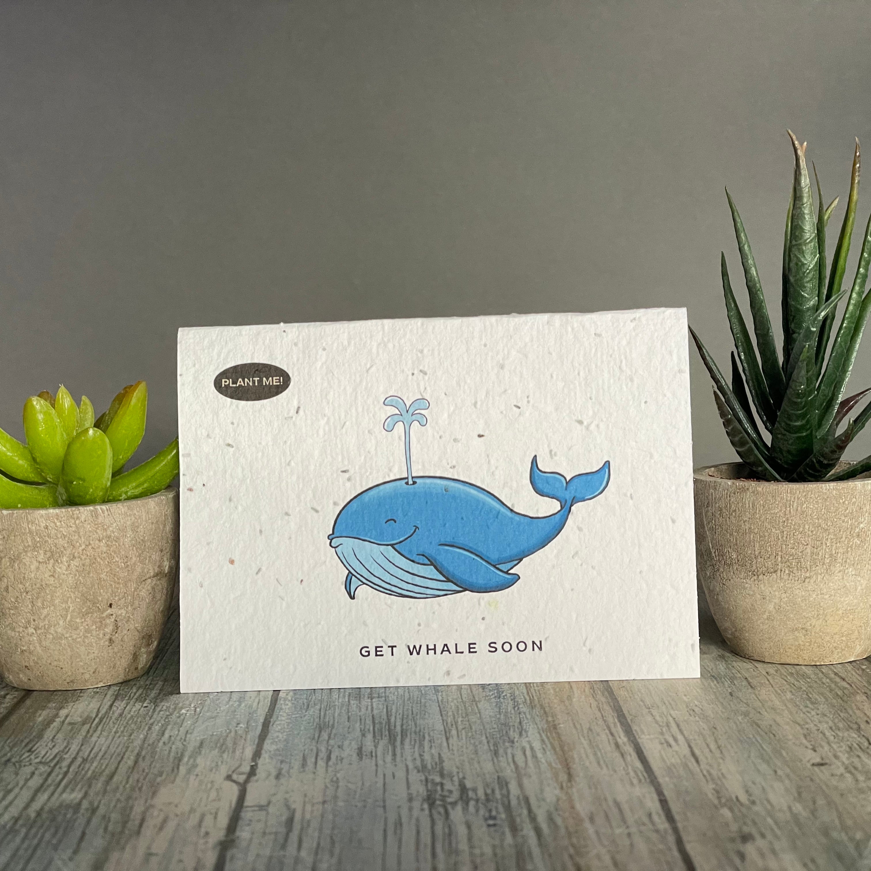 Get Whale Soon Plantable Greeting Card – Plantable Greetings