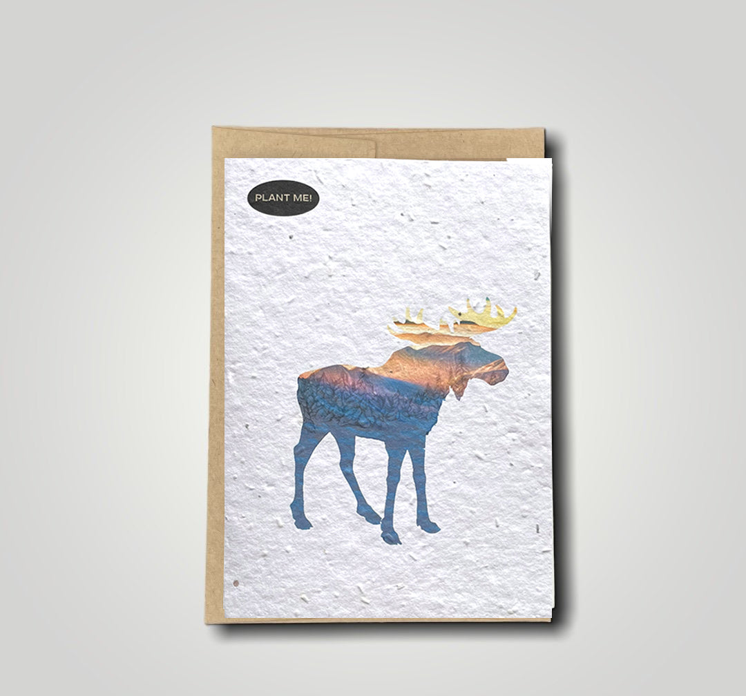 Moose Plantable Greeting Card – Plantable Greetings