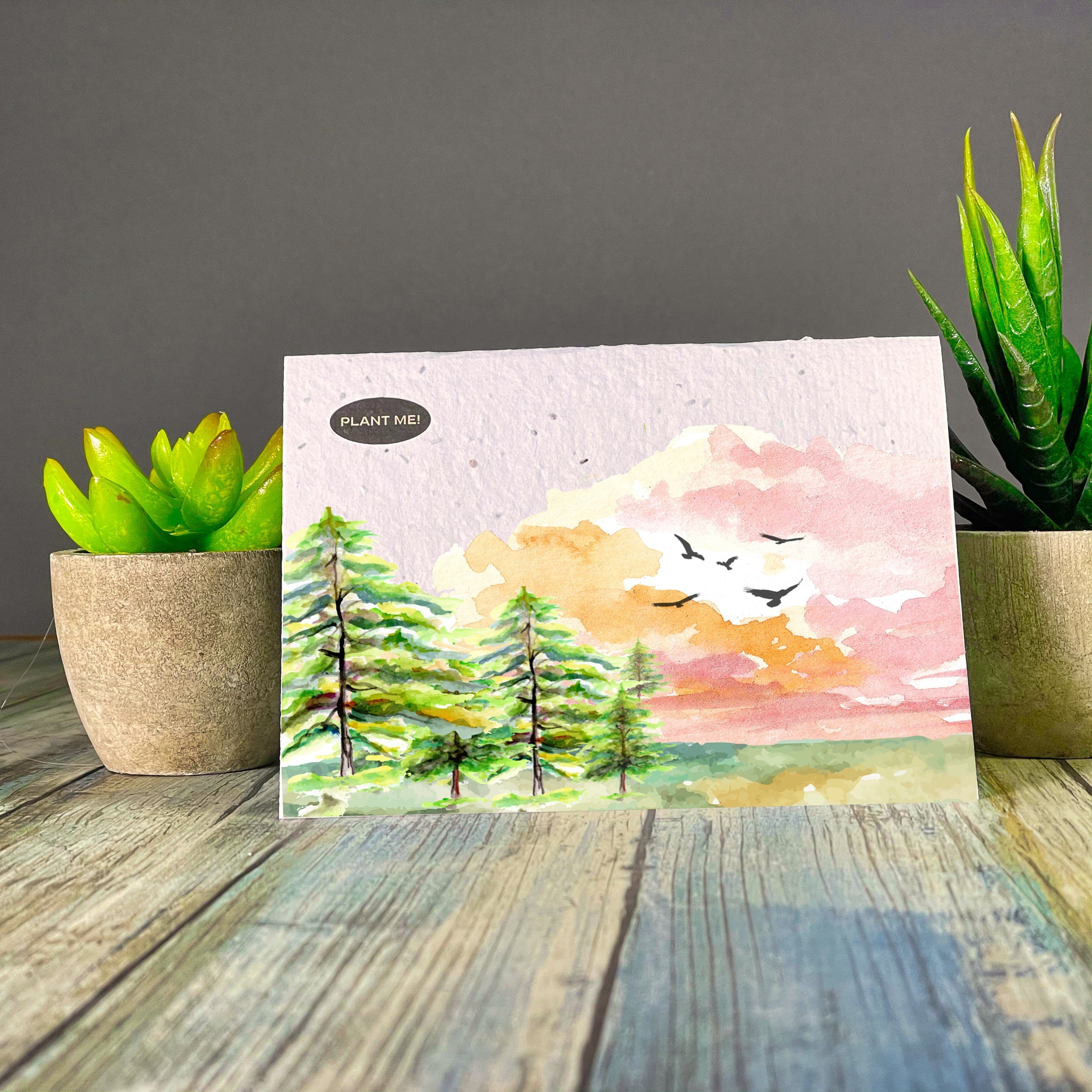 Watercolour Bliss Plantable Greeting Card – Plantable Greetings
